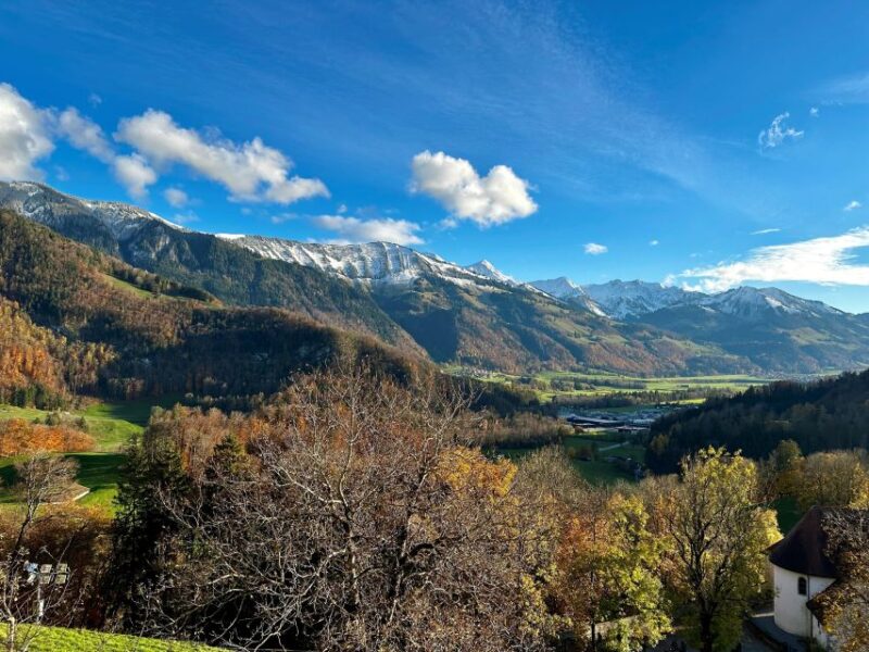 Bern: Gruyères & Lavaux Vineyard Day Trip With Cheese & Wine - Captivating Guided Tour of Montreux