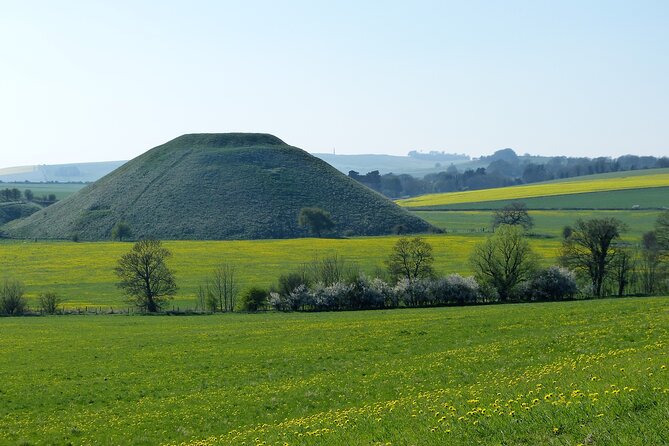 Bespoke Private Tours of Stonehenge and Avebury by Car With Local Guide - Traveler Reviews and Testimonials