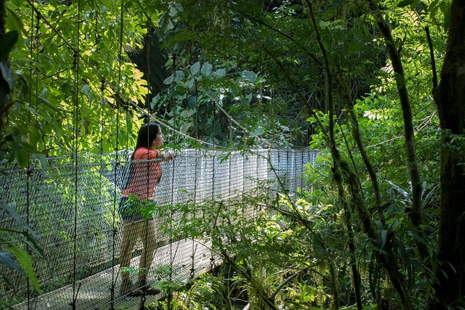 Best of La Fortuna Combo Tour - Lava Slides Trail at Arenal Volcano National Park