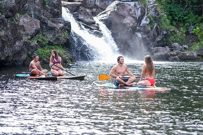 Big Island 9-Line Zipline Experience Plus Kayaking Tour - Guests Experiences and Feedback
