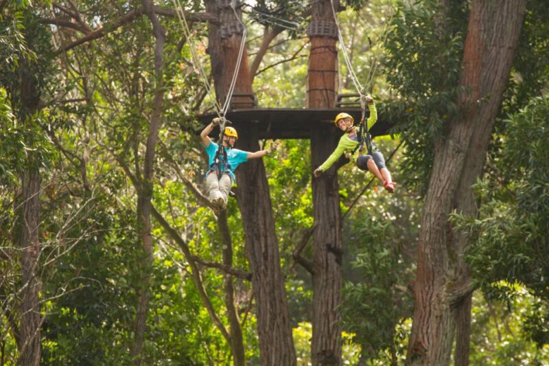 Big Island: Full-Day Kohala Zipline and Waterfall Adventure - Pricing and Value Analysis