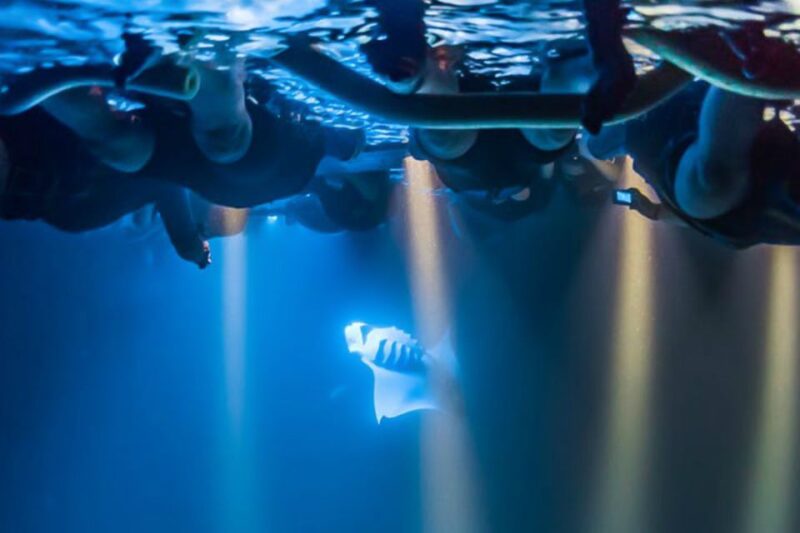Big Island: Night Swim with Manta Ray with Hot Chocolate - The Practical Details