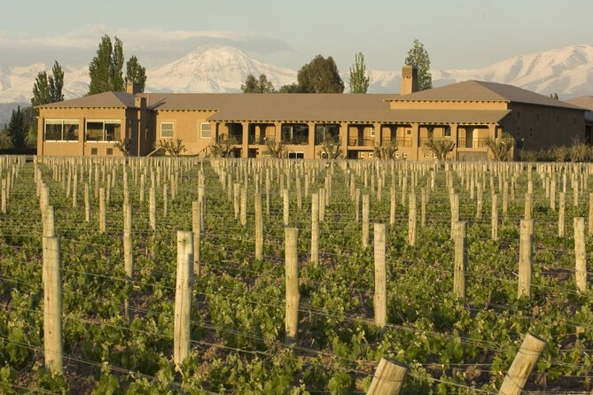 Bike Tour in Mendoza Wine Country - Winery Visits