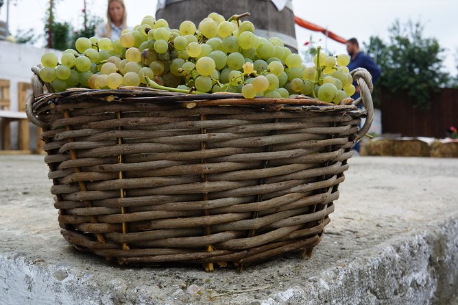 Bike & Wine Tour in Dealu Mare Wineland - Highlights From Travelers: Reviews and Recommendations