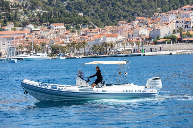 Blue and Green Cave Speedboat Trip Review - Spotting Marine Life Along the Way