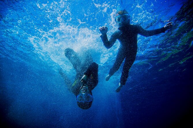 Boat Trip and Snorkeling in Villefranche-Sur-Mer - Duration and Wildlife Encounters