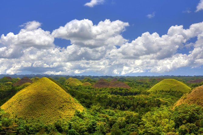 Bohol Countryside Day Tour From Cebu City | Lunch at Loboc River Cruise - Blood Compact Monument