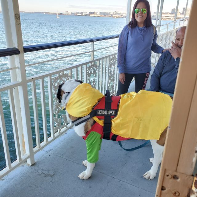 Boston: Scenic Harbor Cruise (Dog-Friendly) - The Sum Up: Who Will Love This Harbor Cruise?