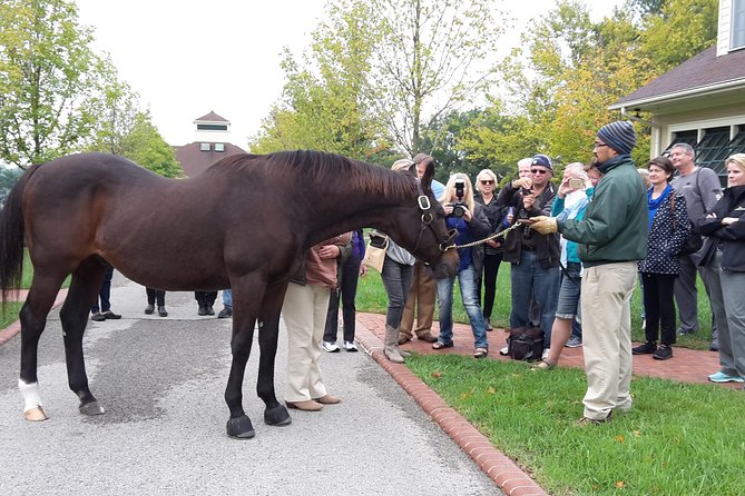 Bourbon Distillery & Horse Farm Tours - Distillery Experiences