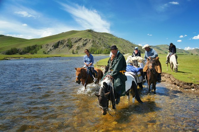 Brief Introduction to Mongol Horse - The Sum Up