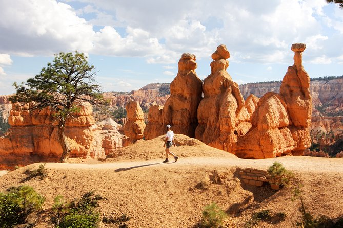 Bryce Canyon & Zion National Parks from Vegas, Lunch, Free WiFi - Who is This Tour Best Suited For?