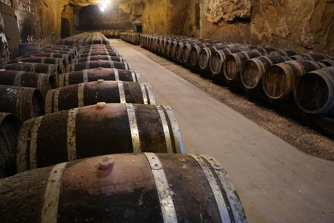 Burgundy Wine Tasting Small-Group Tour in Chablis From Paris - Scenic Journey Through Burgundy