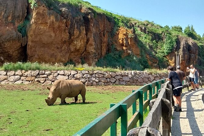 Cabarceno Natural Park Visit - Reviews and Ratings