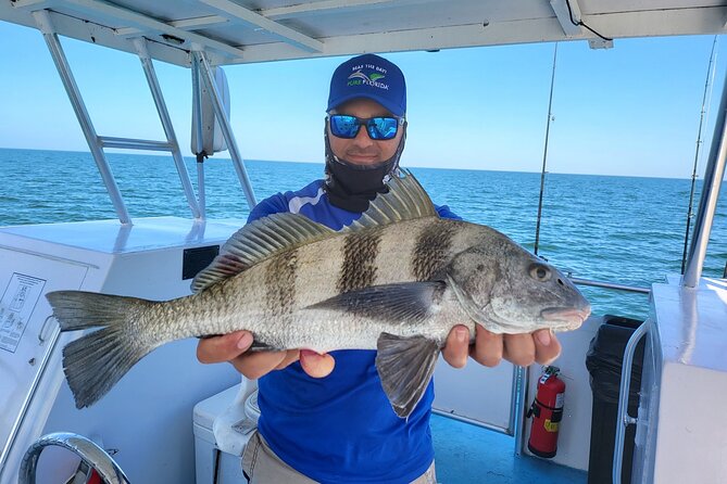 Calm Bay Fishing - Customer Feedback and Reviews