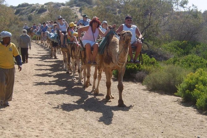 Camel Riding in Maspalomas Dunes - Participant Guidelines and Recommendations
