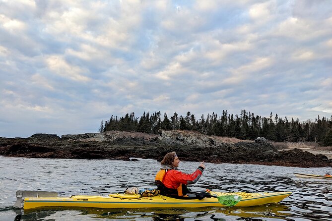 Casco Bay Half-Day Sea Kayak Tour - The Experience in Depth: Breaking Down the Itinerary