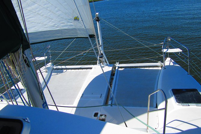 Catamaran Sailing Dolphin/Manatee Watch in Daytona Beach - Wildlife Spotting Opportunities