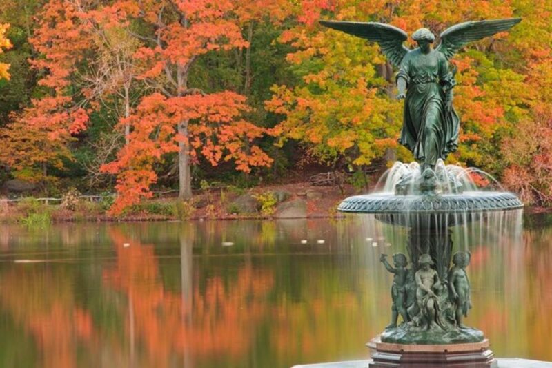Central Park Bike Rental - Pricing and Value for Money