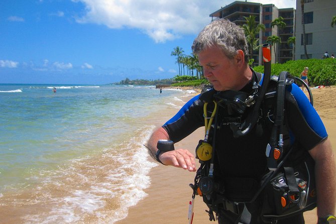 Certified Guided Shore Dive in Lahaina - Marine Life Encountered