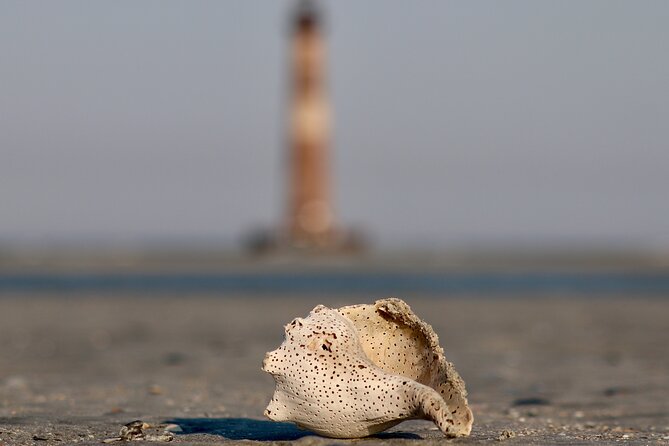 Charleston Eco Boat Cruise with stop at Morris Island Lighthouse - FAQ