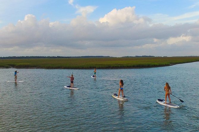 Charleston Stand-Up Paddleboard Eco Tour - Positive Reviews: Satisfied Customers Speak