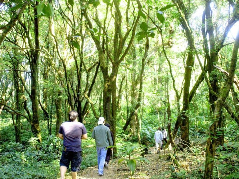 Chiang Mai: Doi Inthanon, Waterfalls, & Tribal Villages Tour - FAQ
