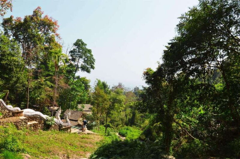 Chiang Mai: Hike on Monks Trail and Doi Suthep Private Tour - Who Will Love This Tour