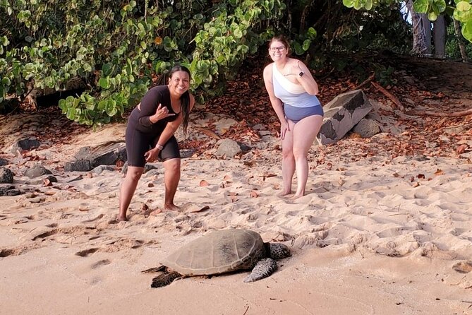 Clear Bottom Kayak - Guaranteed to See Turtles! - Customer Reviews and Testimonials