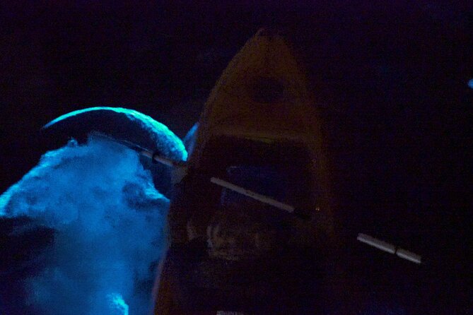 Clear Kayak Bioluminescence Tour - Memorable Moments and Recommendations