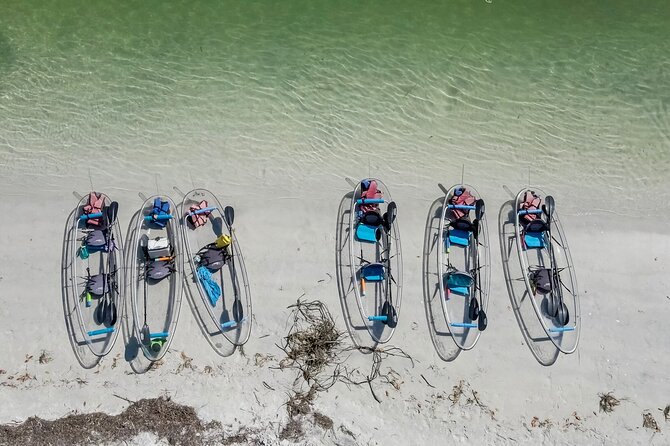 Clear Kayak Tour of Shell Key Preserve and Tampa Bay Area - The Sum Up: Who Will Love This Tour?
