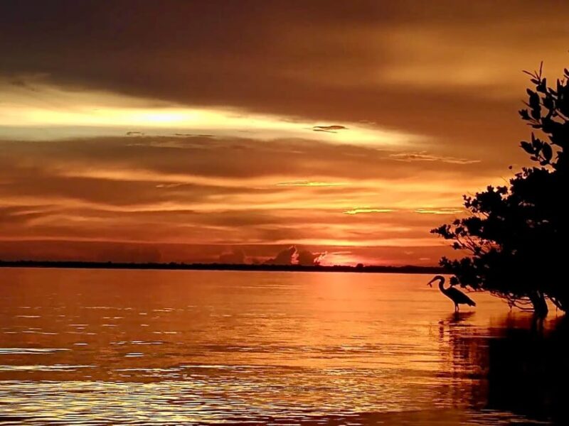 Cocoa Beach/Merritt Island: Guided Dolphin and Manatee Tour - FAQ