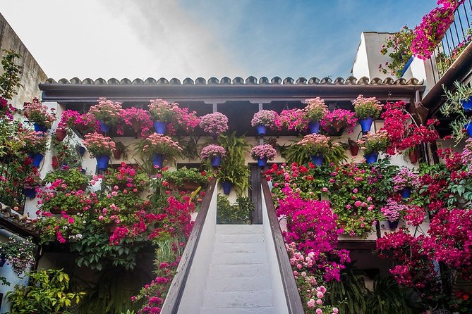 Cordobas Authentic Patios: 2-Hour Tour With Tickets - Accessibility and Participation