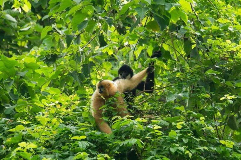 Cuc Phuong Forest and Van Long Nature Reserve Private Trip - What Do Travelers Say?