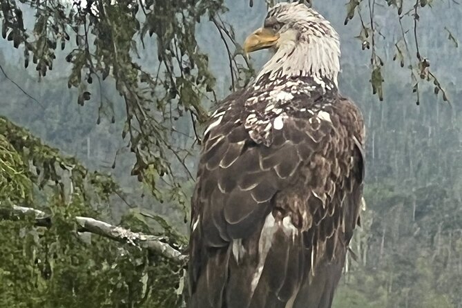 Customize Your Own Private Tour - Experience Local Wildlife Up Close