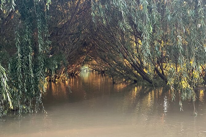 Customized Tigre Delta Tour Lunch and Drink Included - Customer Experience