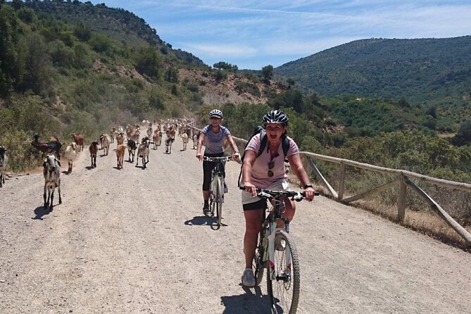 Cycling - via Verde De La Sierra - 36KM - Easy Level - Ratings and Feedback