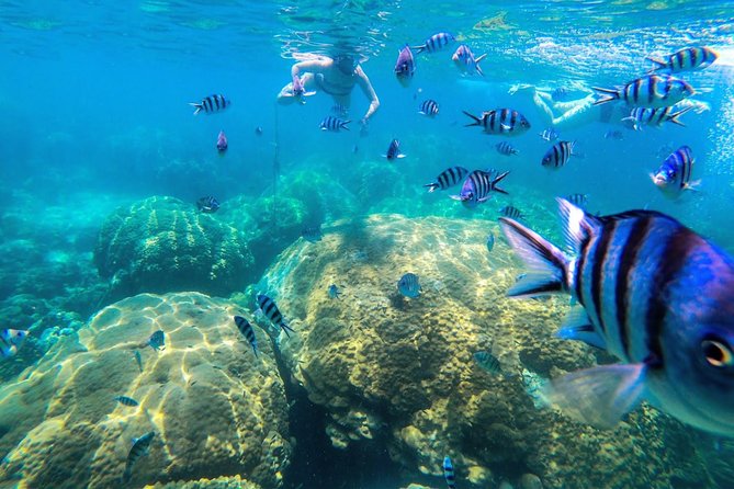 Day Tour to Angthong Marine Park by Insea Speedboat from Koh Samui - Who This Tour Is Best For