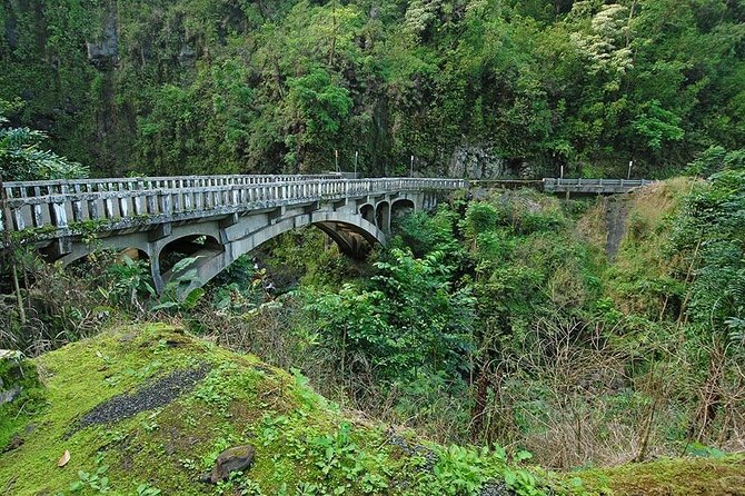 Day Trip From Maui to Oahu: Road to Hana Adventure - Customer Experiences and Feedback
