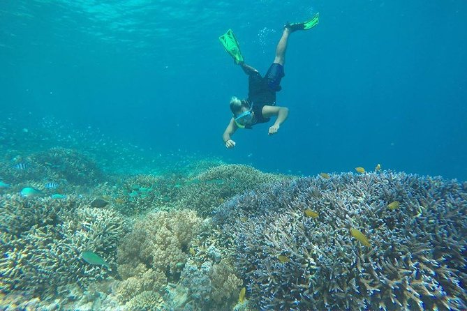 Day Trip Gili Trawangan, Gili Meno, Gili Air (Depart Lombok) - Final Thoughts: Is It Worth It?