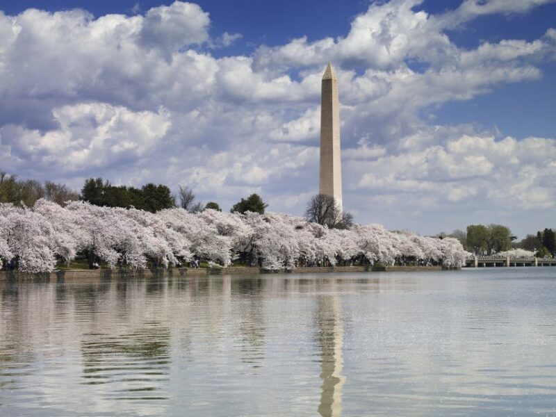 DC: Tour with U.S. Capitol Ground Access - FAQ