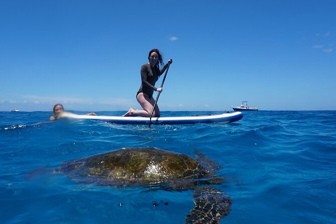 Deluxe Catamaran Swim With Dolphins in Oahu With Waterslide - Snorkeling With Dolphins and Tropical Fish