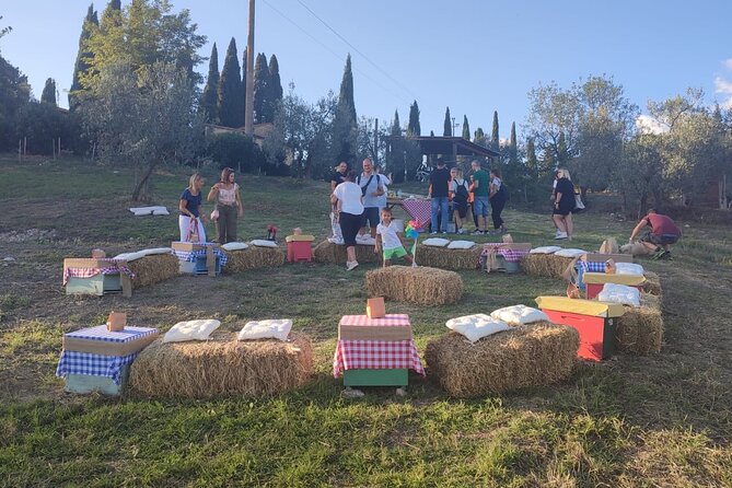 Discovering Bees in Volterra - Appreciating the Bees Role in Nature