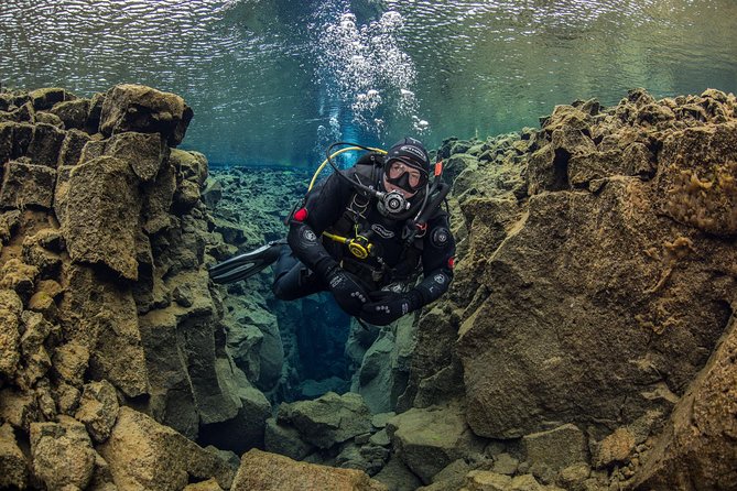 Dive the Divide: Silfra Fissure Scuba Tour | Reykjavik Pickup - The Sum Up: Who Is This Tour Best For?