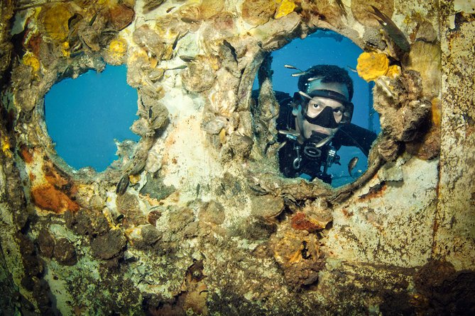 Diving at Koh Chang, daytrip with 2 dives - Authentic Experiences Based on Reviews