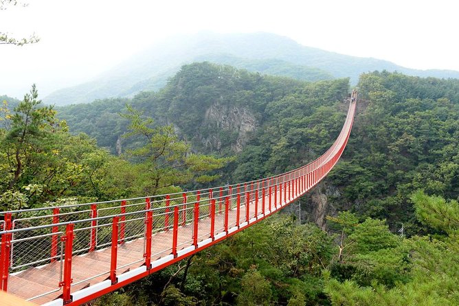 DMZ Tour: 3rd Tunnel, Option(Suspension Bridge, Boat) from Seoul - FAQs