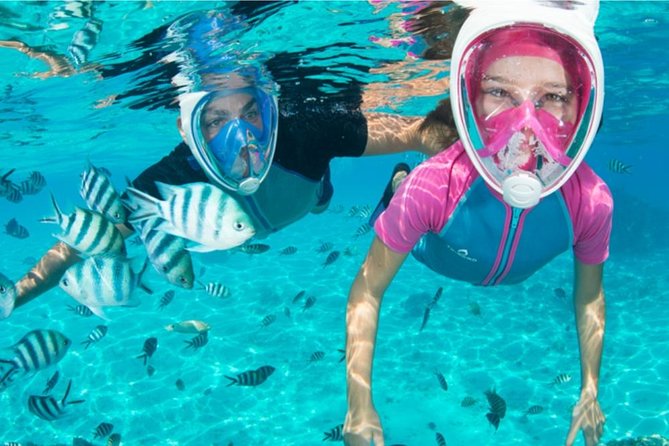 Dolphin Mini Cruise at Playa Del Carmen - Booking and Cancellation Policies