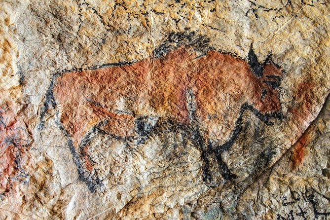 Dordogne Day Tour : Prehistory and the Art of the Caves From Sarlat - Customer Feedback