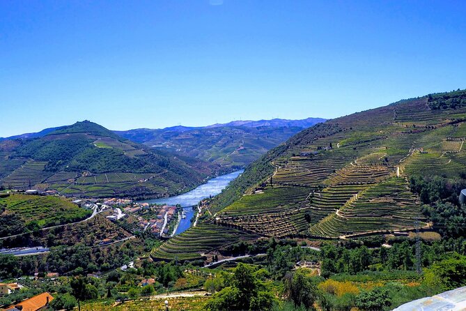 Douro Valley and Régua Cruise Review - Accessibility and Transportation