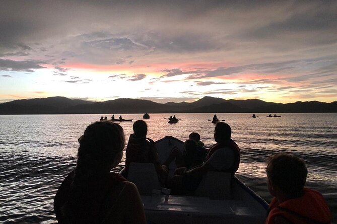 Eddys Bioluminescence Reserve in Punta Cuchillos - Unique Features and Highlights