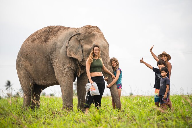 Elephant Jungle Sanctuary: Half Day Afternoon Program - Why This Tour Offers Great Value